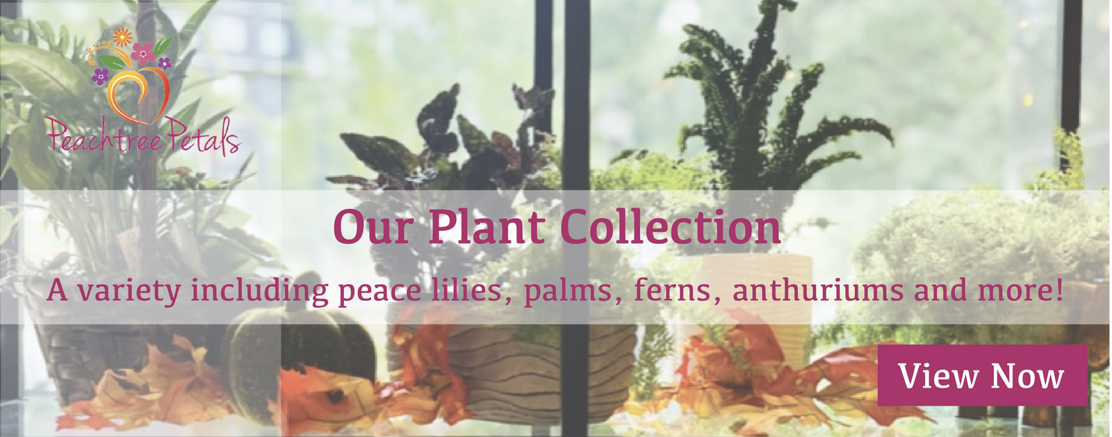 Atlanta Florist, Atlanta Flower Delivery | Peachtree Petals